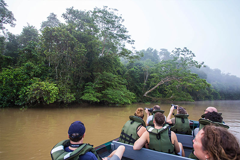 All Tours - Sukau Rainforest Lodge